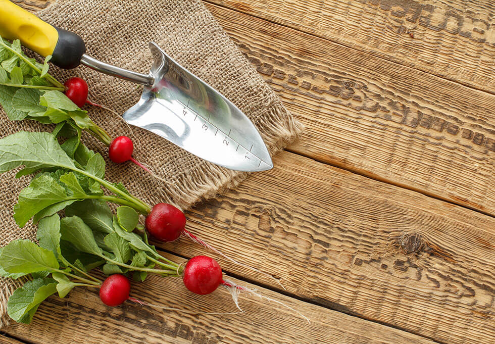 New Fencing – Absolute Material