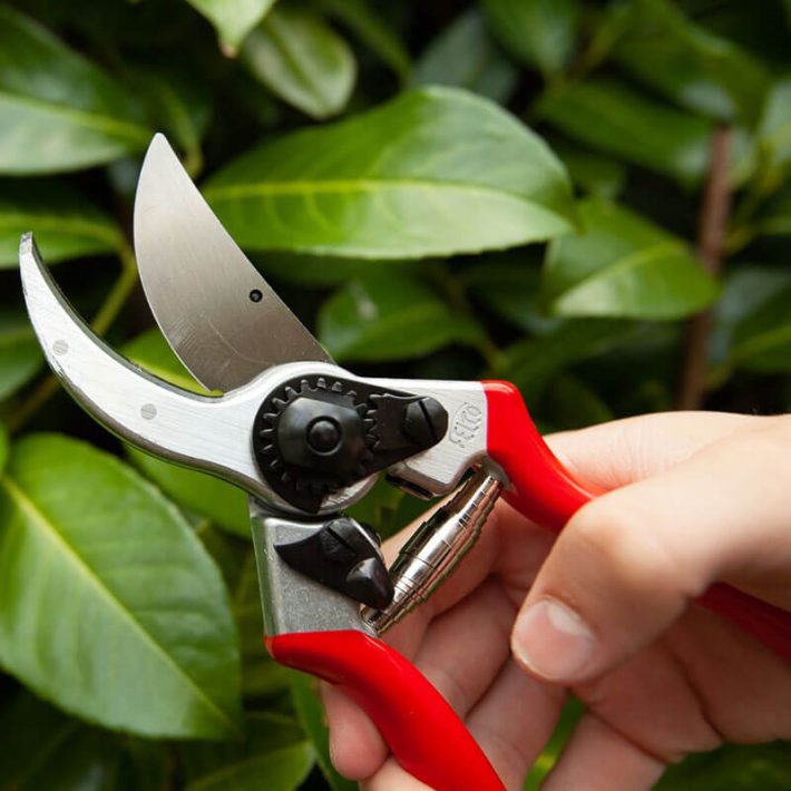 Garden Scissors – Absolute Material