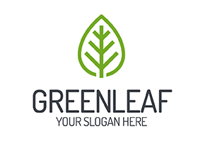 Our Team – Absolute Material