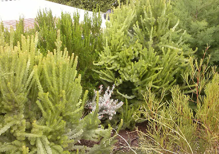 Home 4 – One Page – Absolute Material