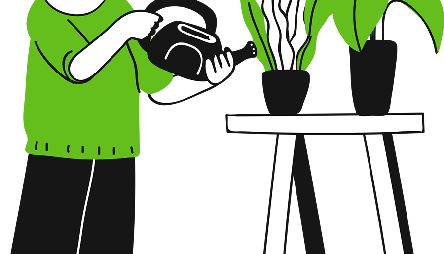 Service – Absolute Material