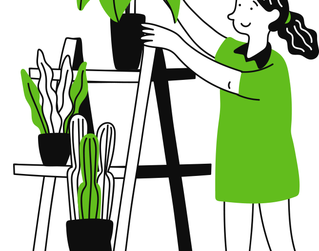 Service – Absolute Material